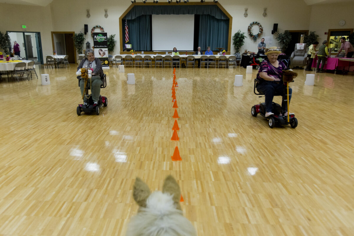 Alpine Scooter Rodeo keeps Orem seniors rollin, rollin, rollin | News ...